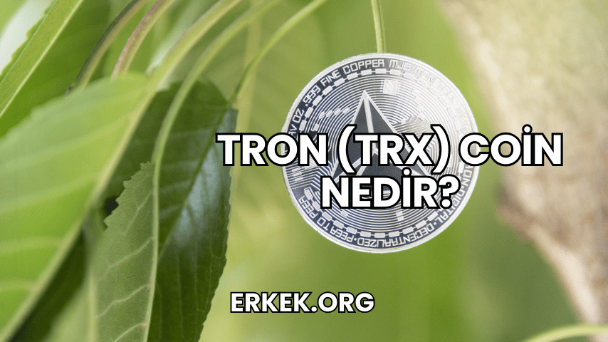 Tron (TRX) Coin Nedir? - Erkek