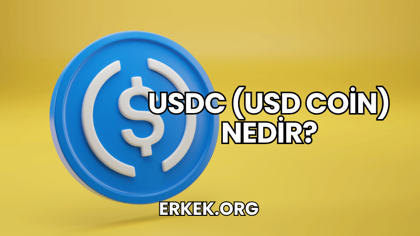USDC (USD Coin) Nedir? - Erkek